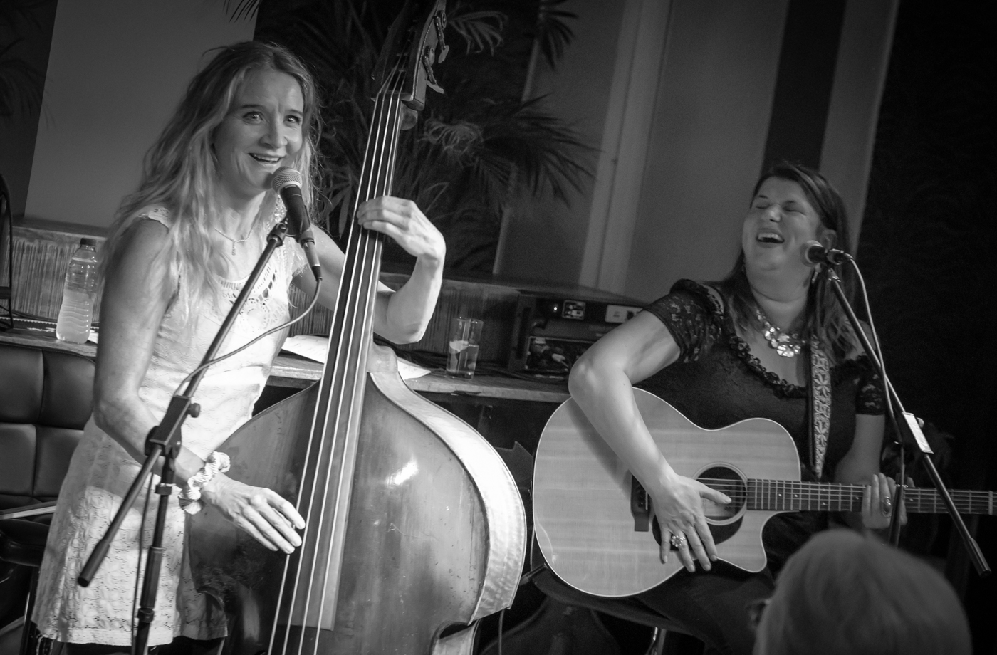 Daisy Daisy - Dazzling Duo - Andy Harris